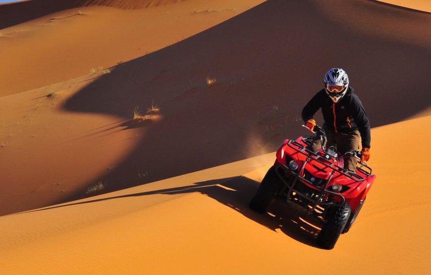 Top-tier Quad Service Morocco, Marrakech, Agafay - Clever Quad Company